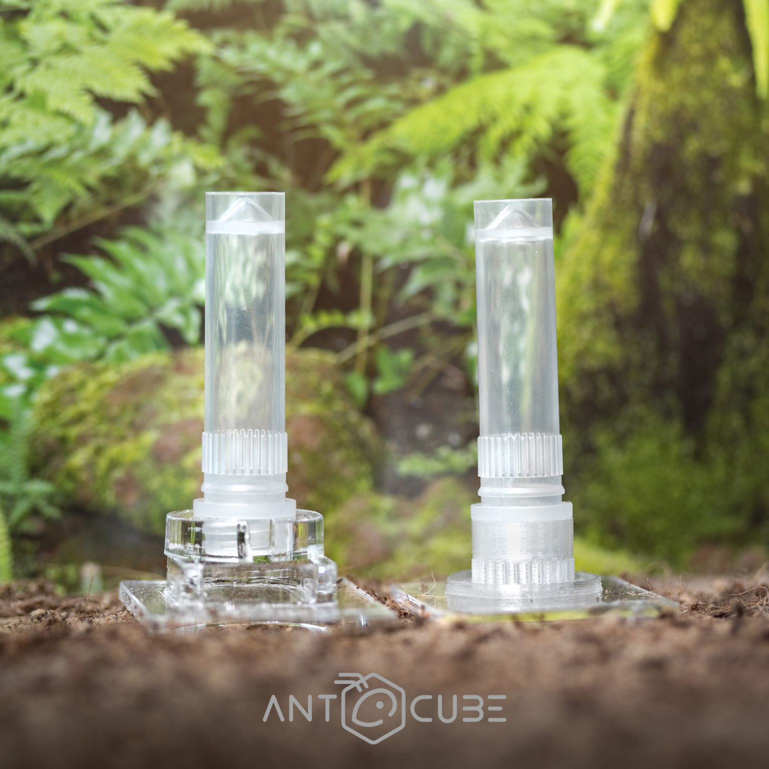 ANTCUBE - ANTCUBE